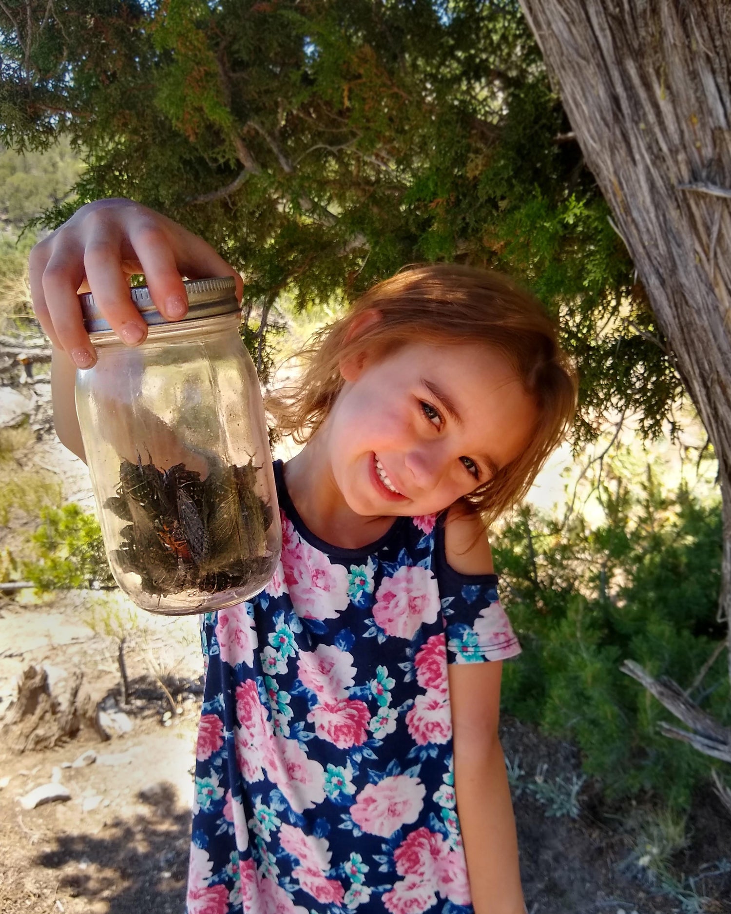 Cicada Candy! – Hunt To Eat