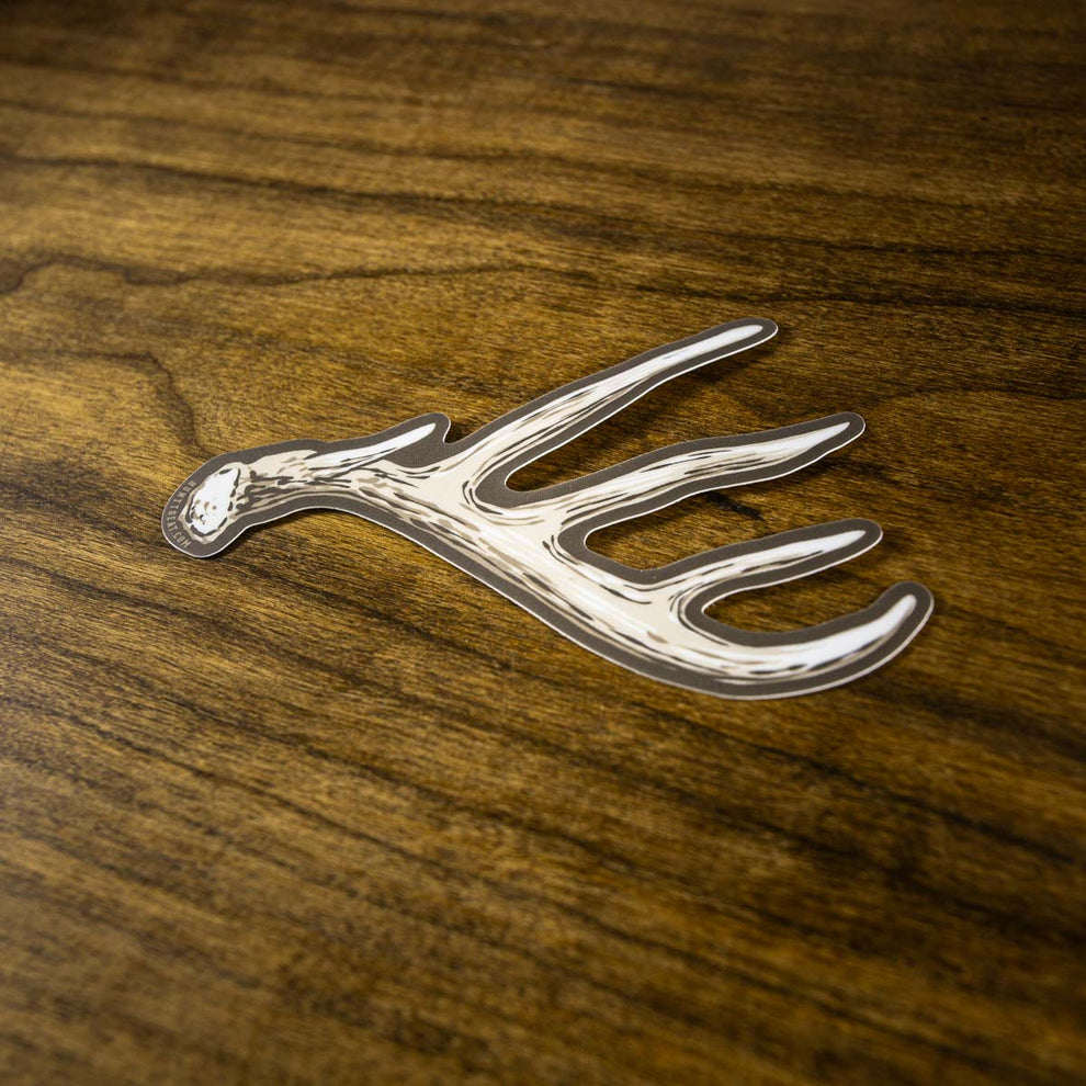 Whitetail Shed Antler Sticker – Hunt To Eat
